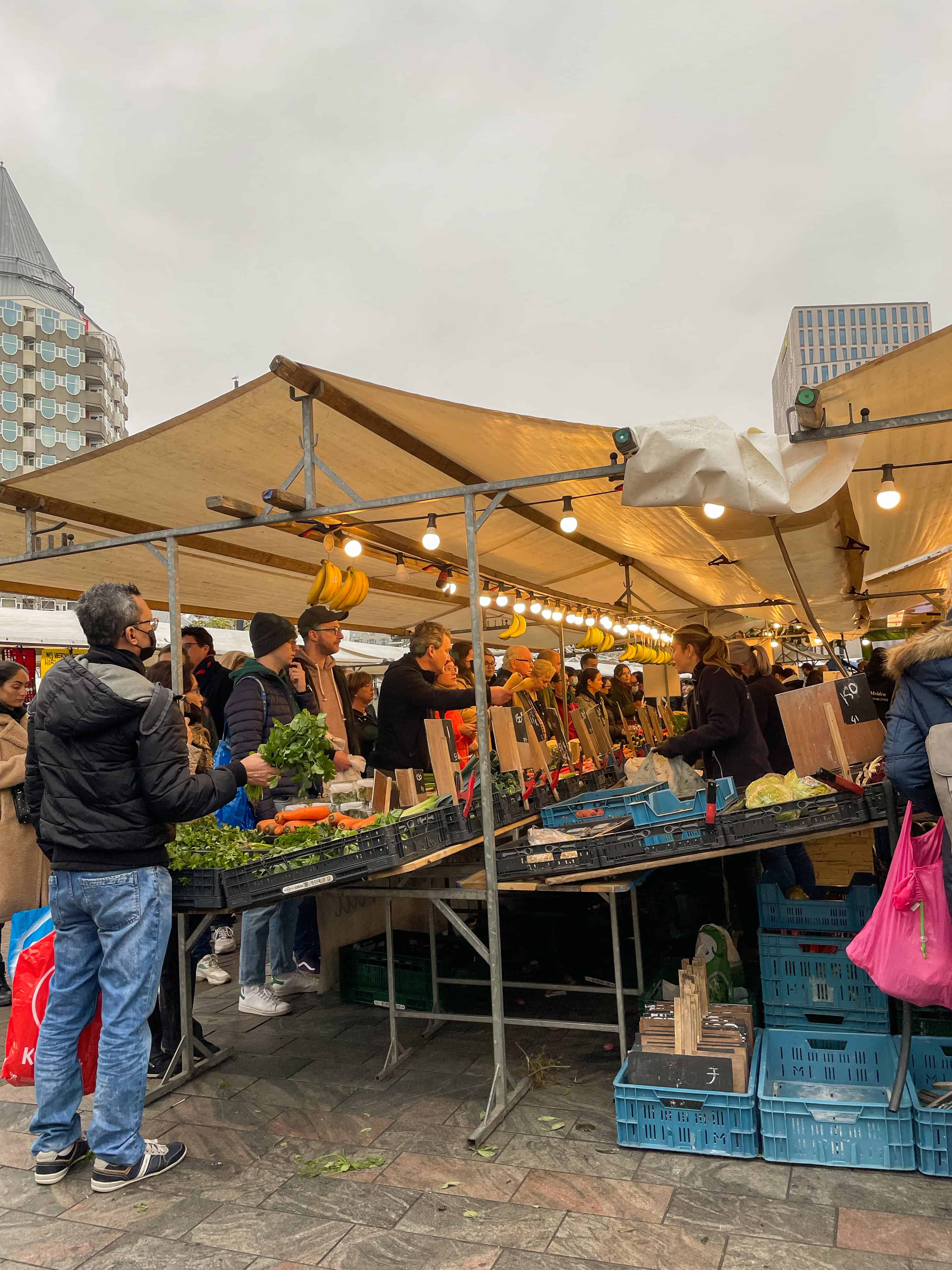 Rotterdam market - Adventures of Ace