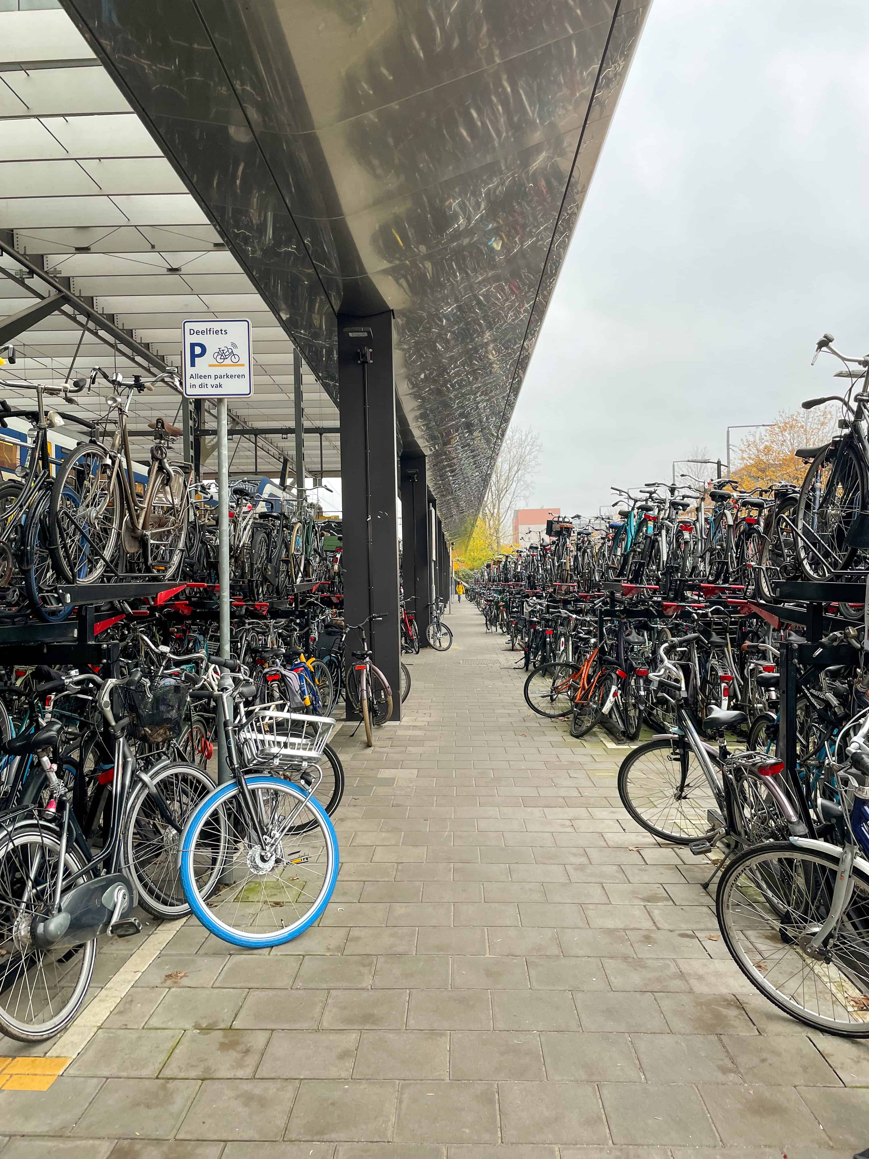 Rotterdam train station bike parking - Adventures of Ace