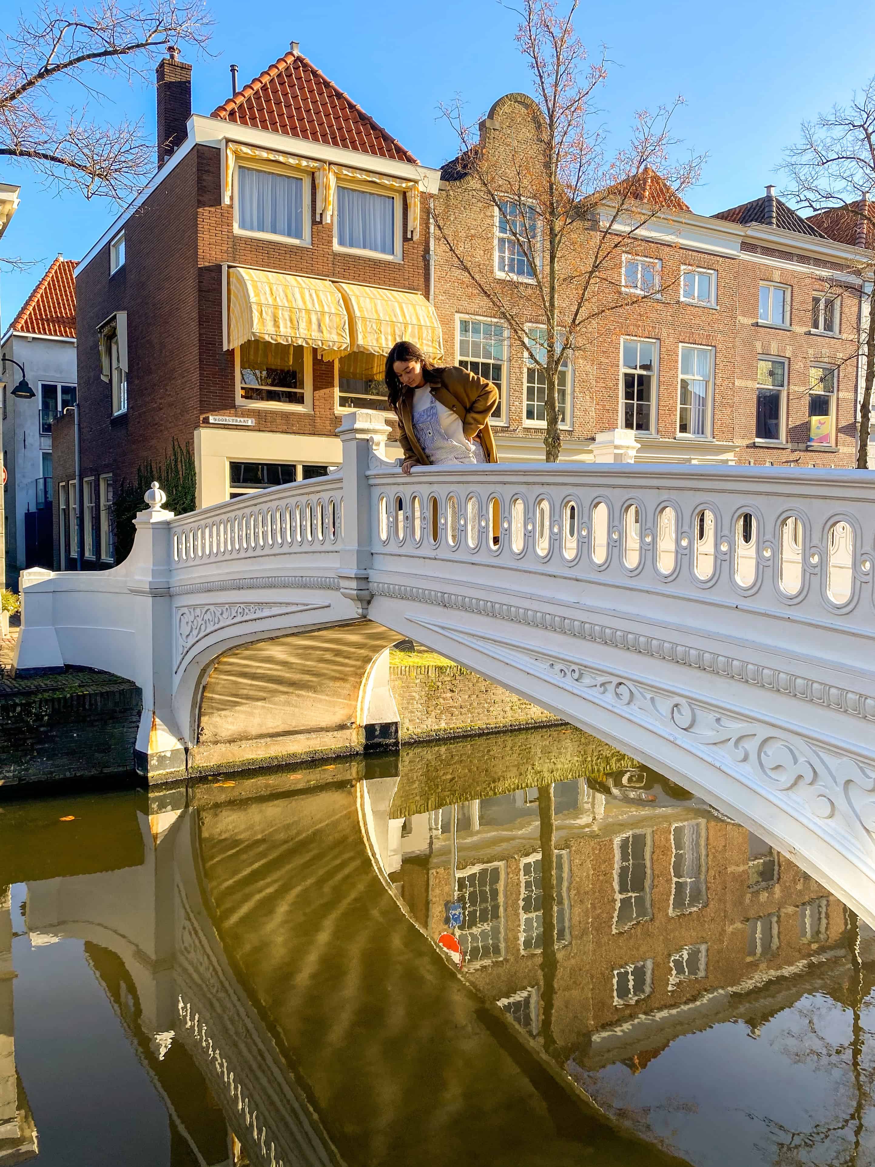 Delft Bridge Over a Canal - Adventures of Ace