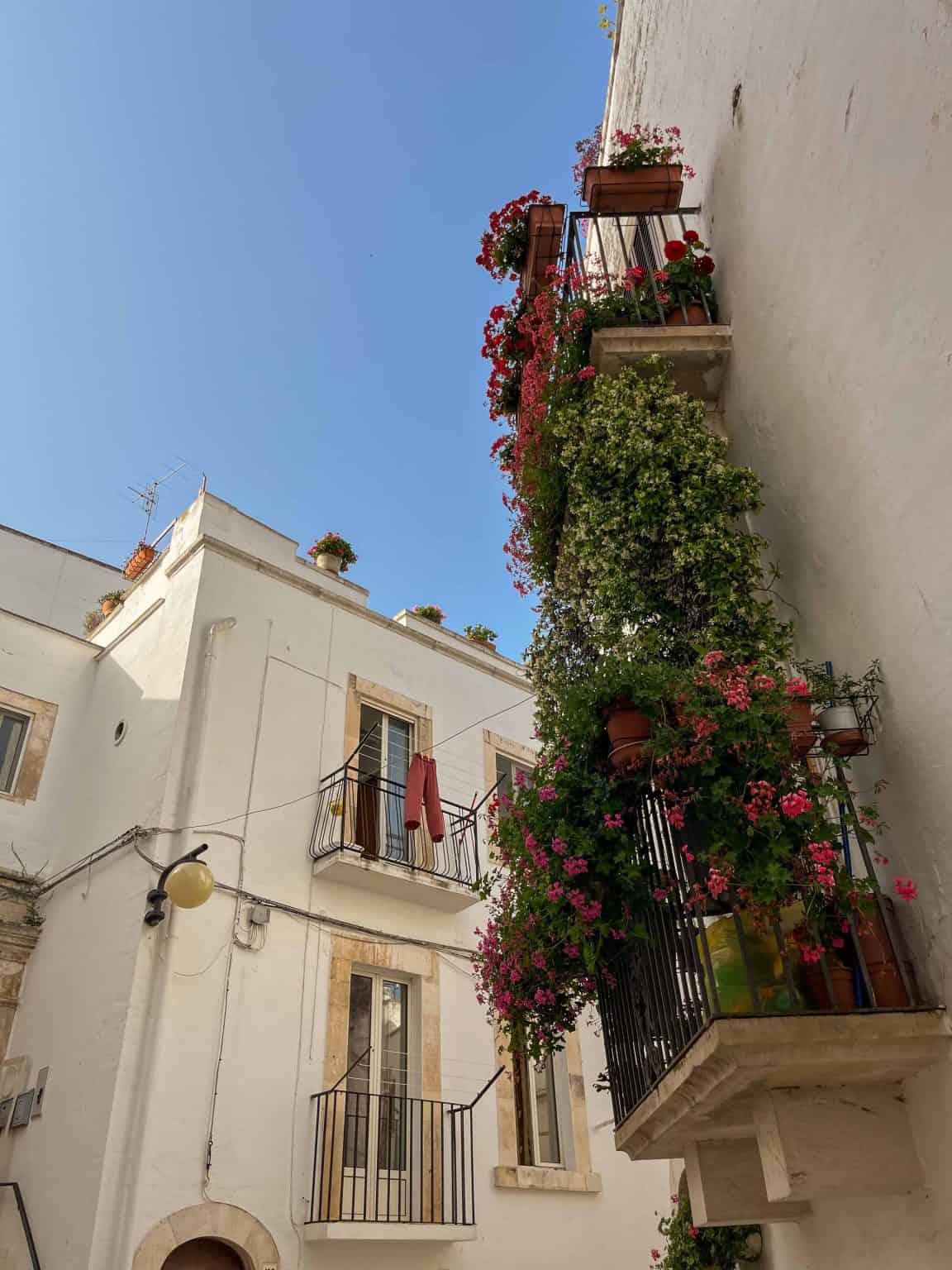 The Town of Putignano: Best Things to Do in Puglia's Hidden Gem ...