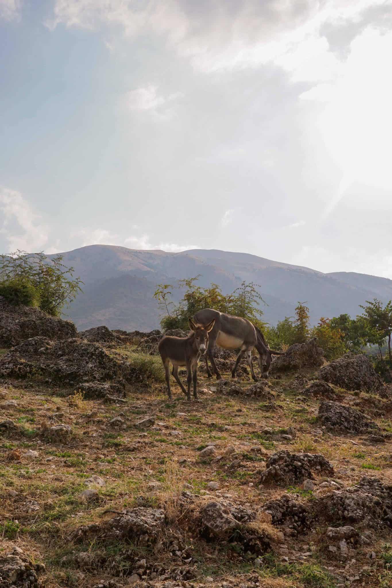 Everything to Know Before Visiting Përmet, Albania